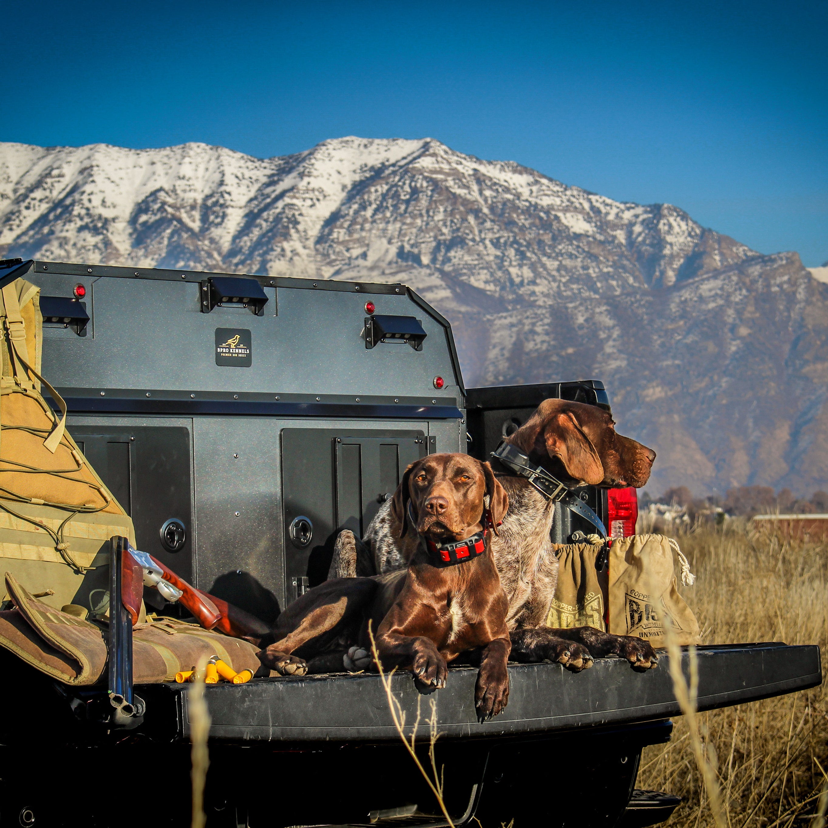 BPro Kennels | Premium Dog Boxes – BPRO Kennels | Premier Dog Boxes