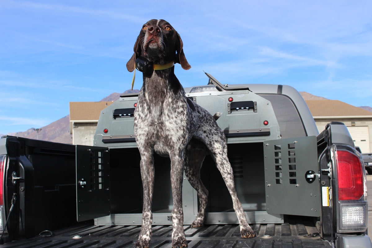 Warden| Premium Dog Box – BPRO Kennels | Premier Dog Boxes